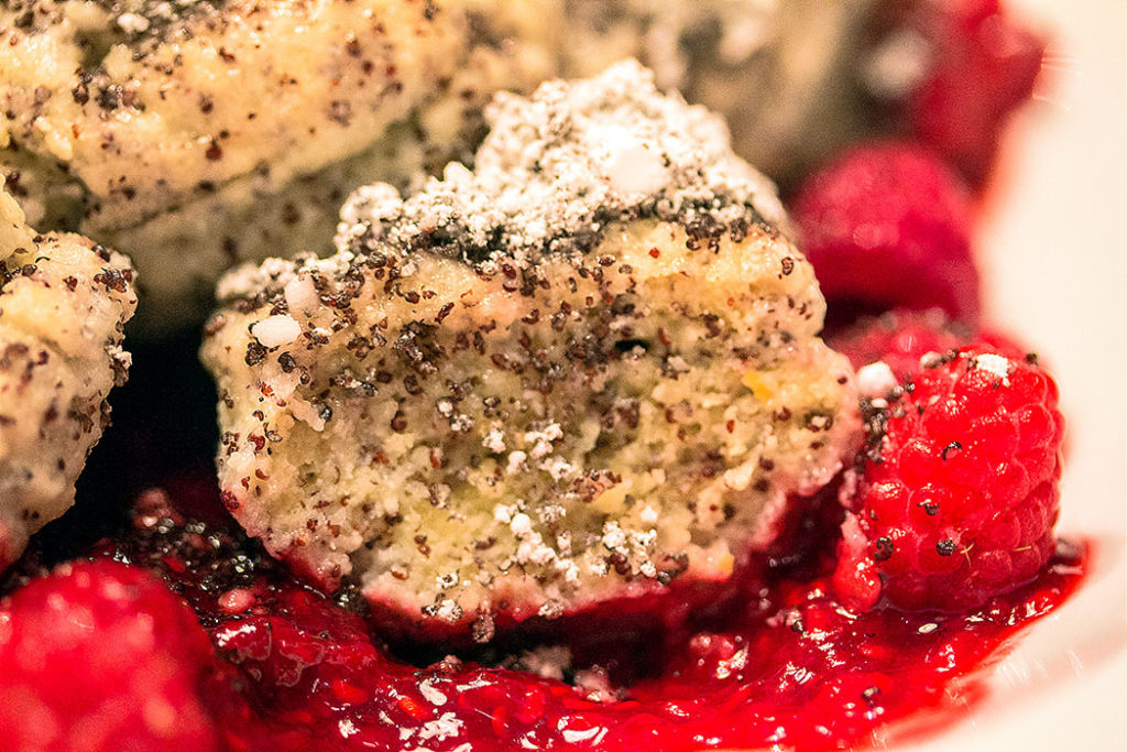 Topfen-Mohn-Knödel mit fruchtiger Himbeersauce