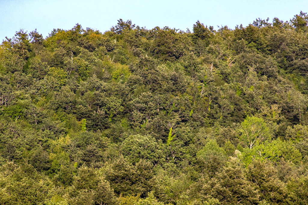 Toskana: Natururlaub in den Colline Metallifere bei Castelnuovo